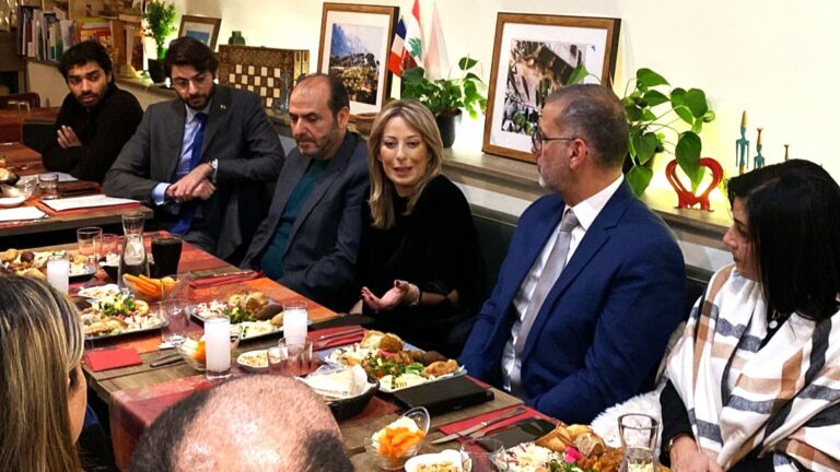 Liban-Exclusif: le salut passe par la résolution 1701, dit la députée ...